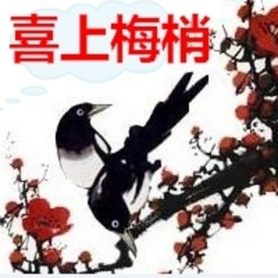 喜上梅梢368 