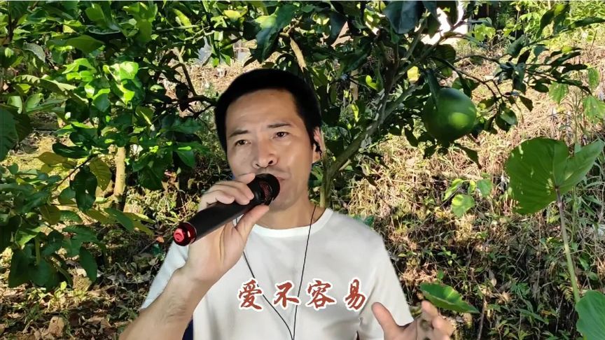生活离不开音乐,好听的歌曲农人大叔要与大家分享,感受一下吧