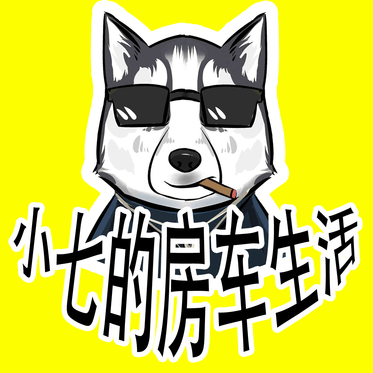 小七的房车生活 