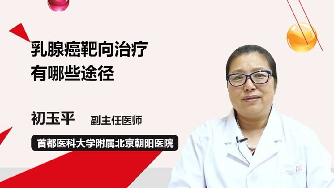 乳腺癌靶向治疗有哪些途径