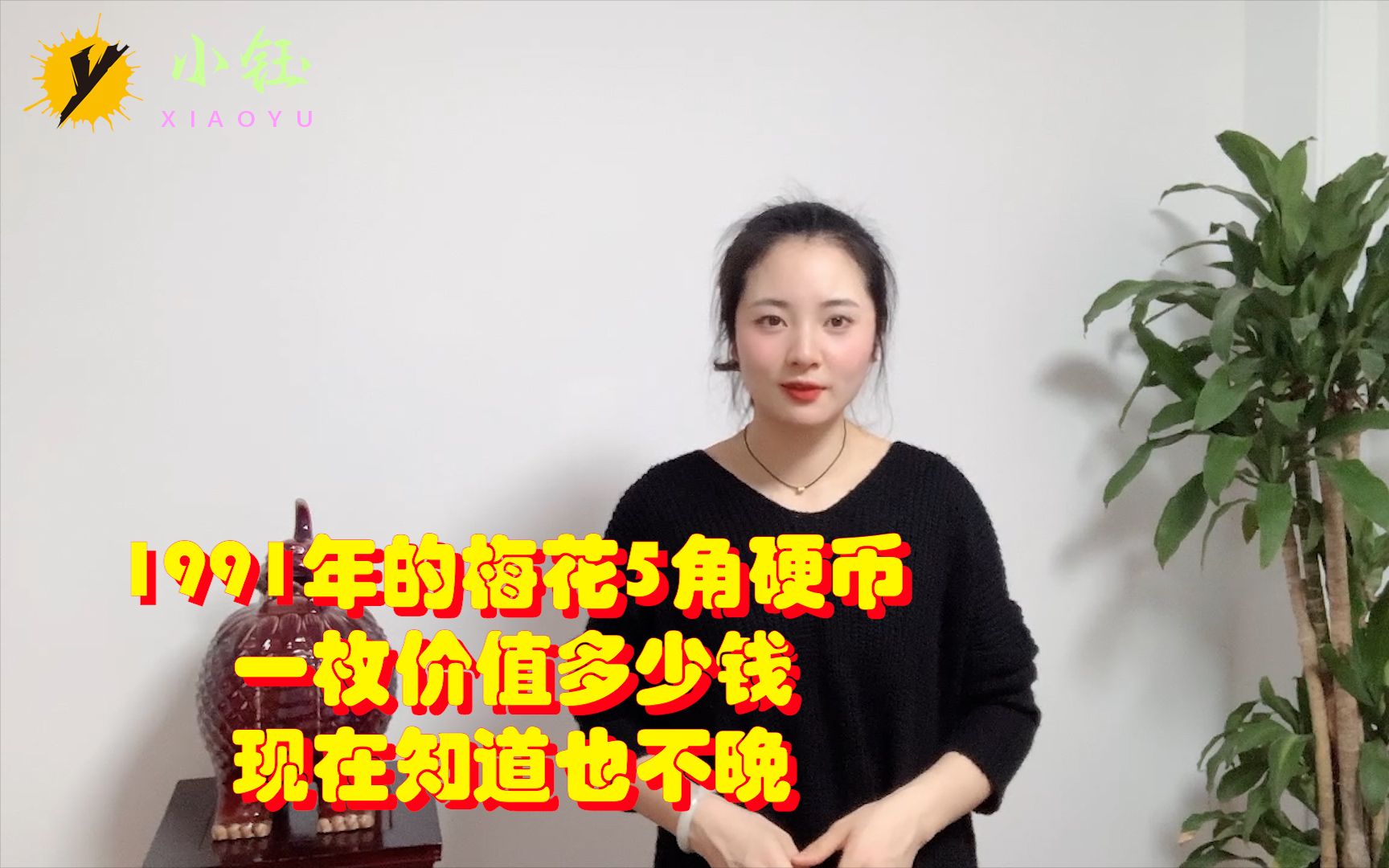 1991年的梅花5角硬币,一枚价值多少钱?现在知道也不晚!