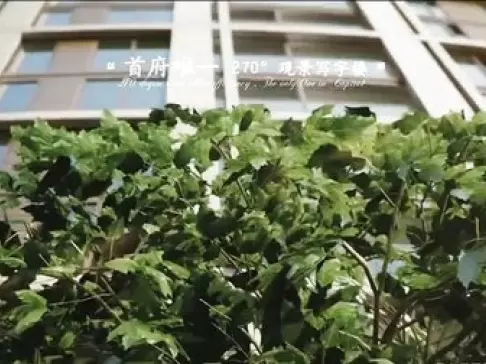 yxy3D三维建筑漫游写字楼精装公寓商业街金融中心宣传片