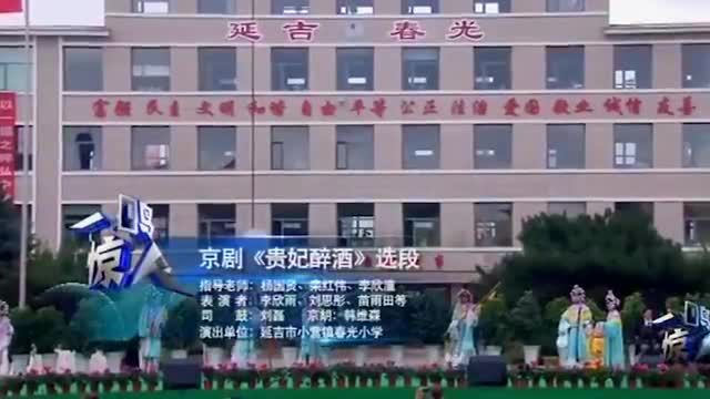 京剧《贵妃醉酒》选段,表演认真细腻,令人无比陶醉!