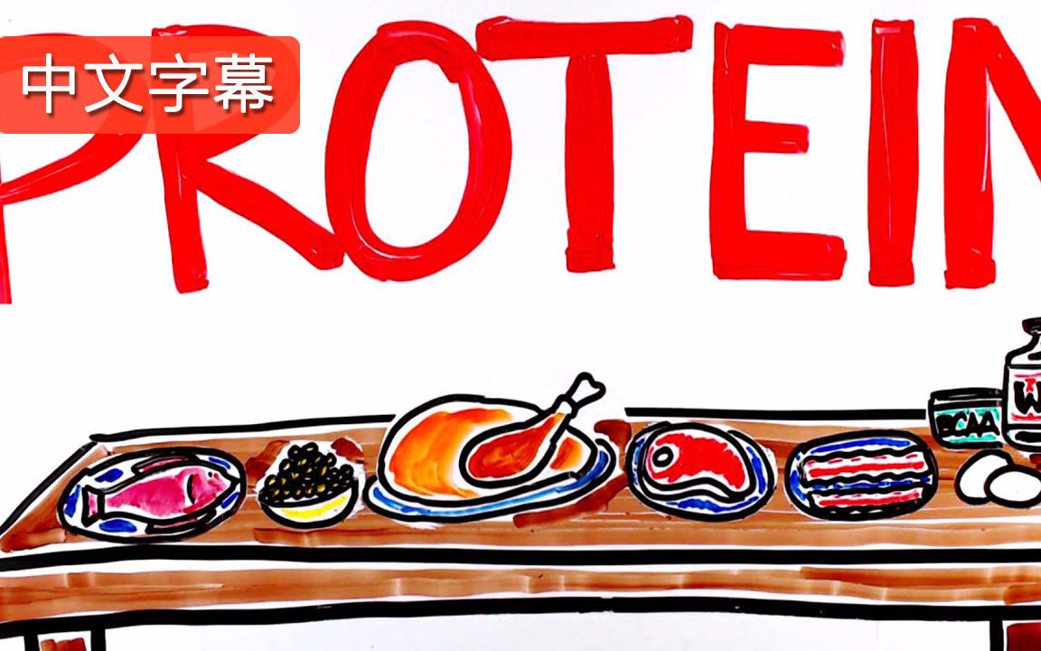 什么是蛋白质?| 中文字幕
