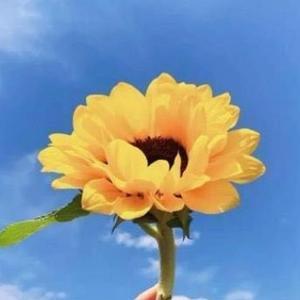 天天快乐73549791 