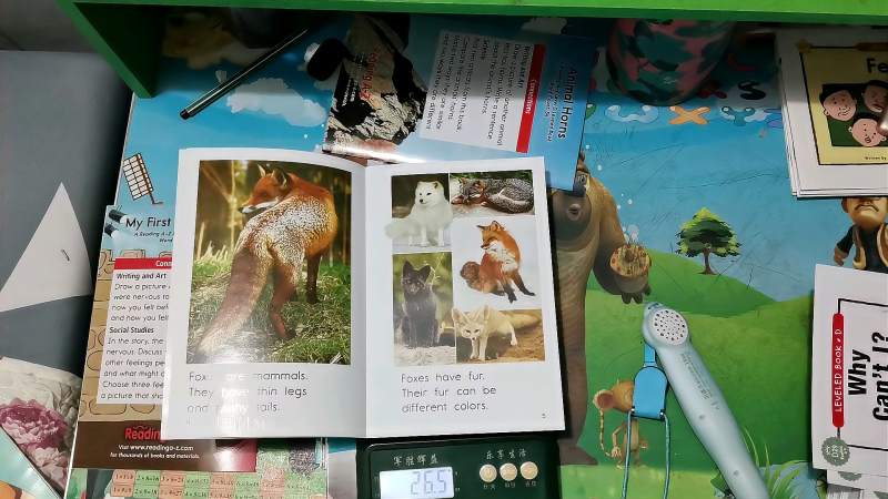 raz分级阅读每天打卡英语启蒙