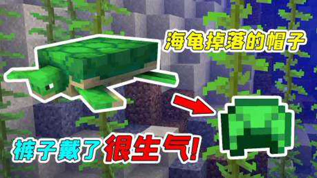 MC盘点07:海龟被雷劈会变成木碗?海龟长大竟能掉绿色的帽子!