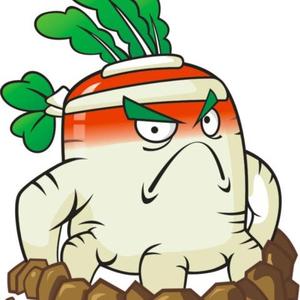 萝卜哥来啦 