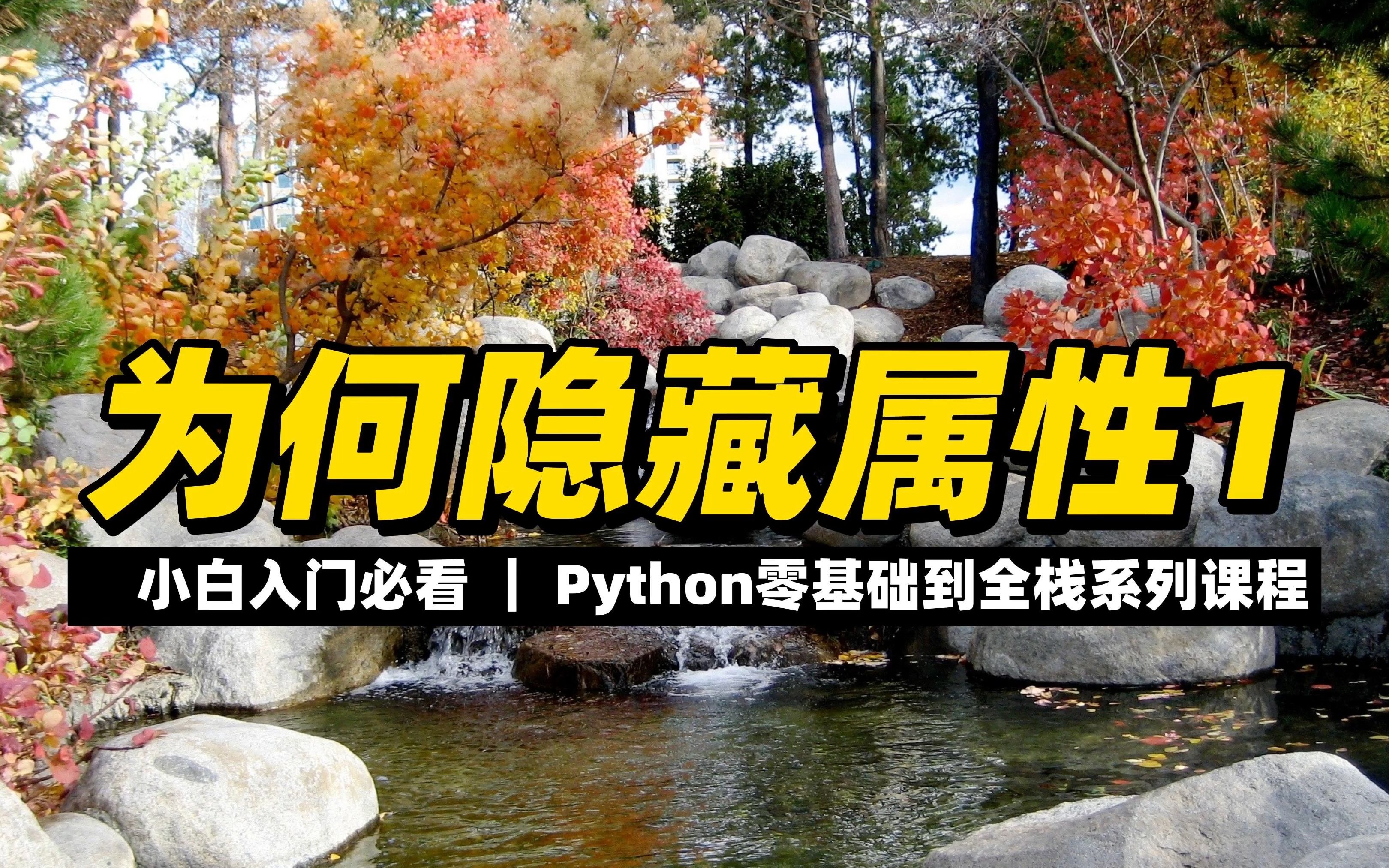 为何隐藏属性1 - 《Python零基础到全栈系列》
