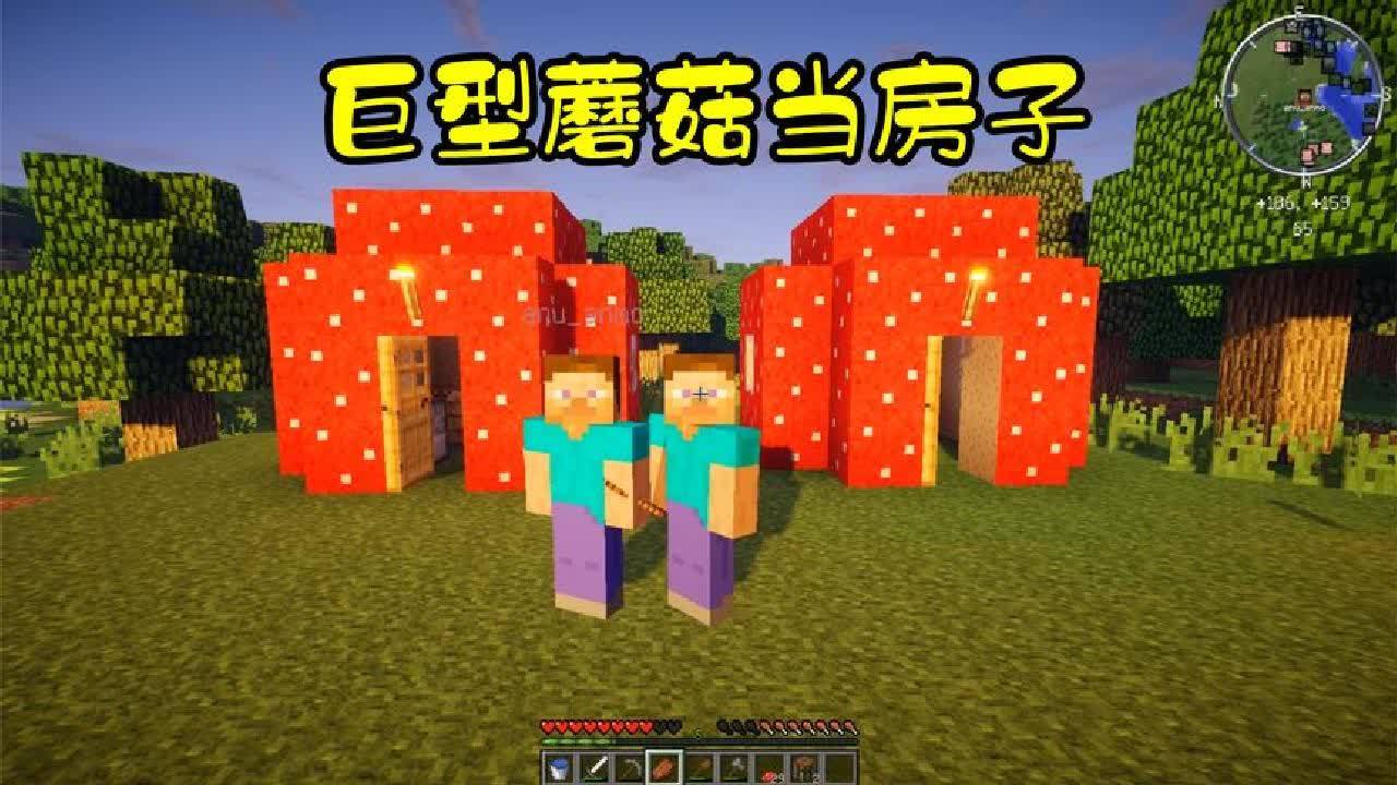 我的世界萌新生存02!种巨型蘑菇当房子,多米第一次见到乐坏了