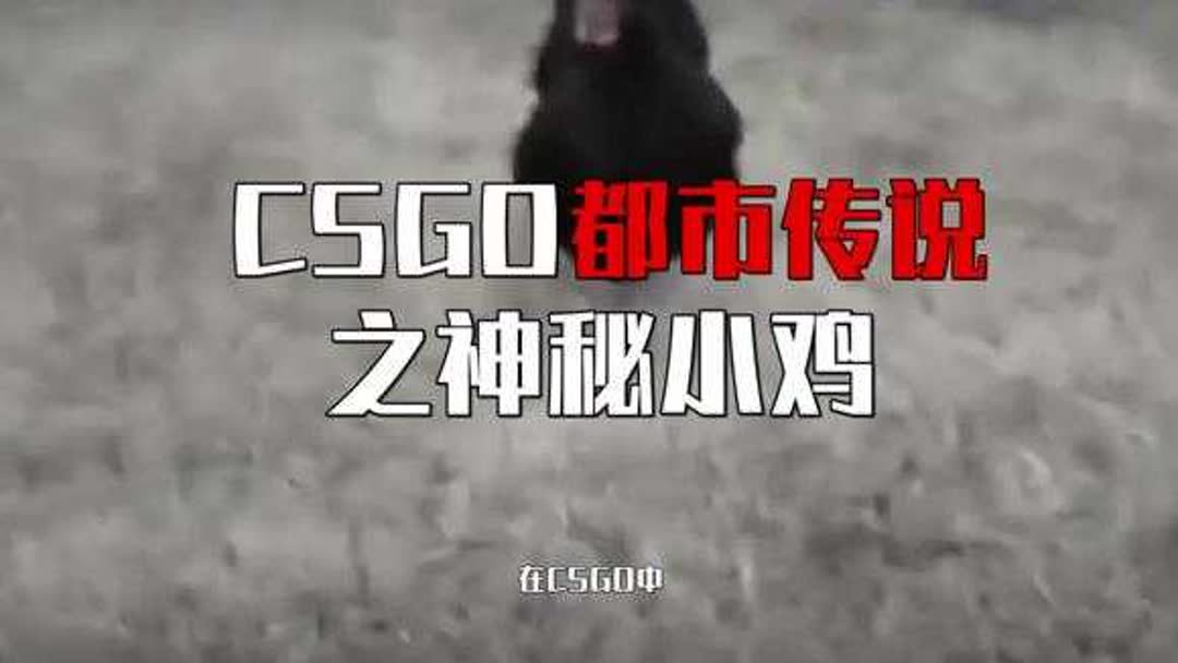 CSGO都市传说之神秘小鸡!开服至今竟没人知道它的来历