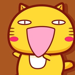 橘猫校长 