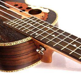 陈辉的乌克丽丽 