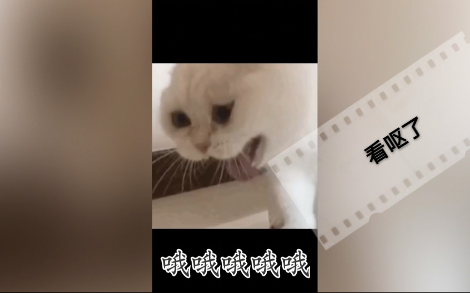 通马桶神器,正在吃饭的不要看了