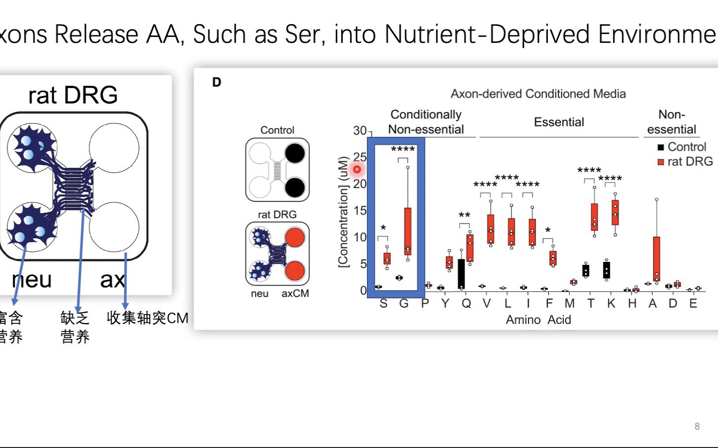 【文献讲解001】神经与胰腺癌的cross talk|基础医学|胰腺癌|神经|大三...