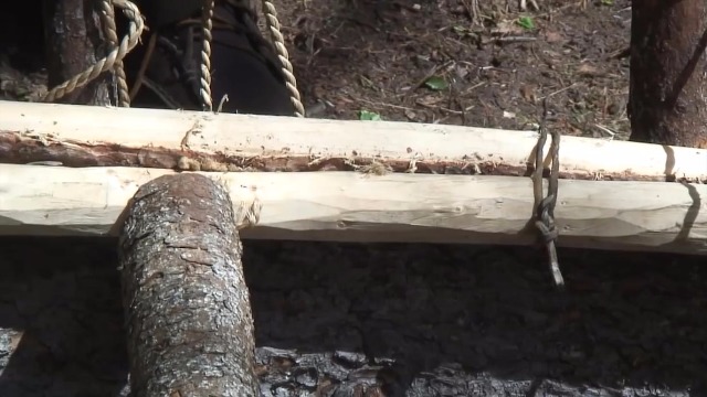 树皮有哪些妙用?野外生存小妙招,看老外教我们怎么巧妙应用