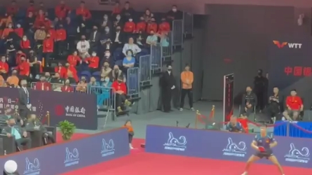 周启豪对樊振东。超级好看的观众视角。