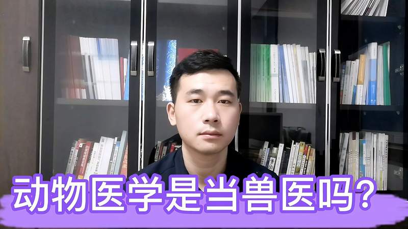 “黄牛火疗”视频爆火,大学的动物医学专业,学完就当兽医吗?