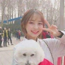 超爱吃锅巴的朋义 