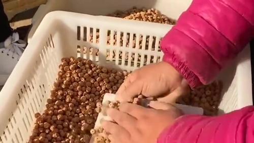 这就是传说中的计算器,比机器还快,看来人还是够聪明