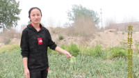 带大家看看农村姑娘是怎么种蒜苗的