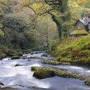 向日葵开在火热的夏天 