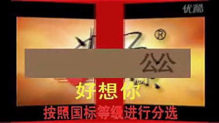 罗甸试用宣传视频
