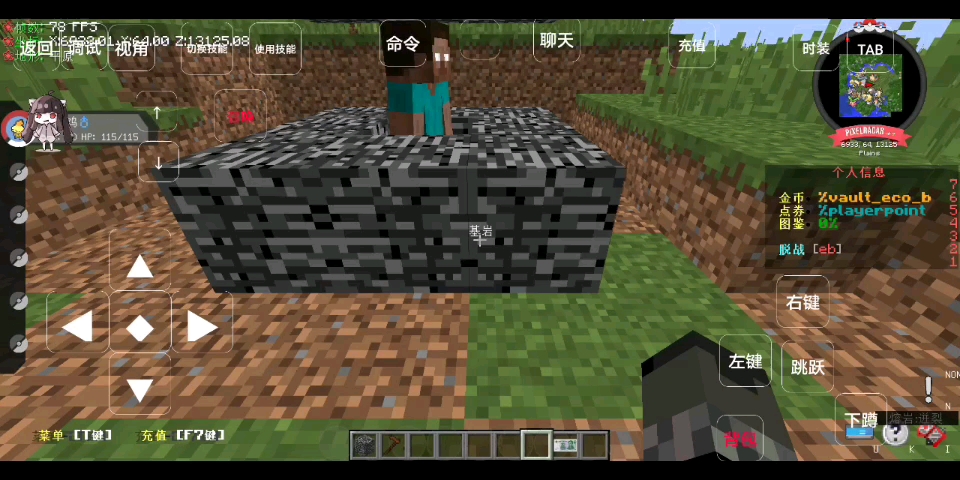 我的世界原生态服务器