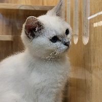 熙湘宝贝 
