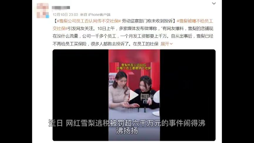 网红雪梨逃税被罚千万