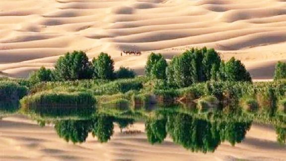 中国耗时40年的超级工程,沙漠变森林,还获得了联合国夸赞