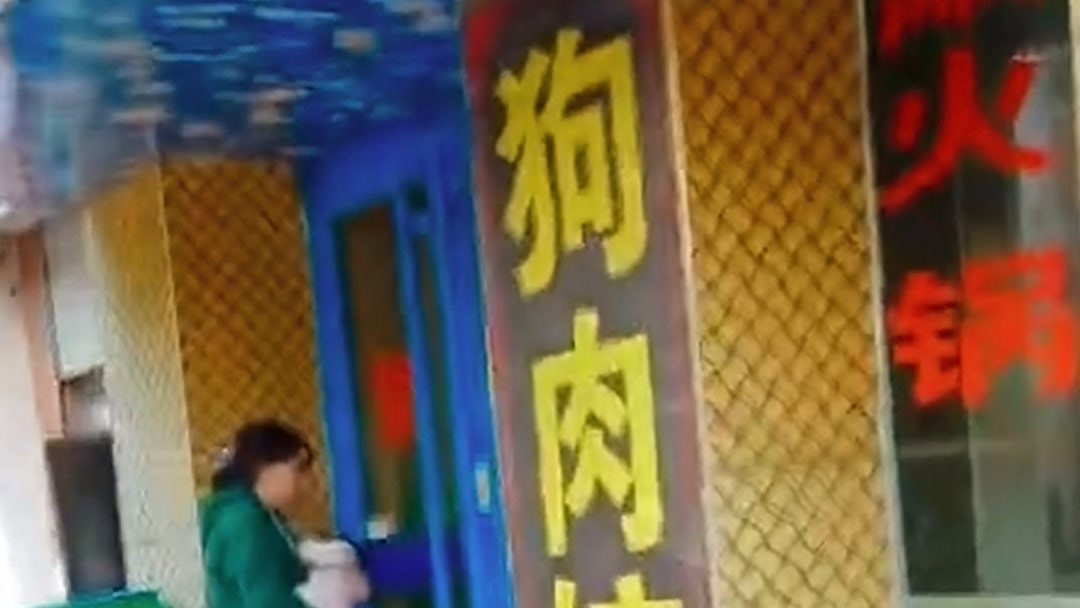 济南一狗肉馆当街杀狗 餐馆门口血流成“溪”