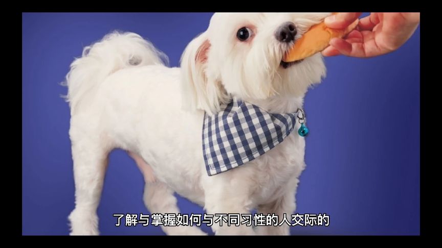 和各类人交朋友的秘密方法