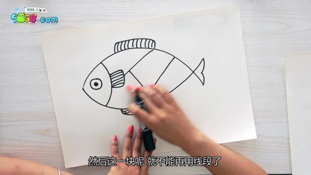 教大家学画海底鱼