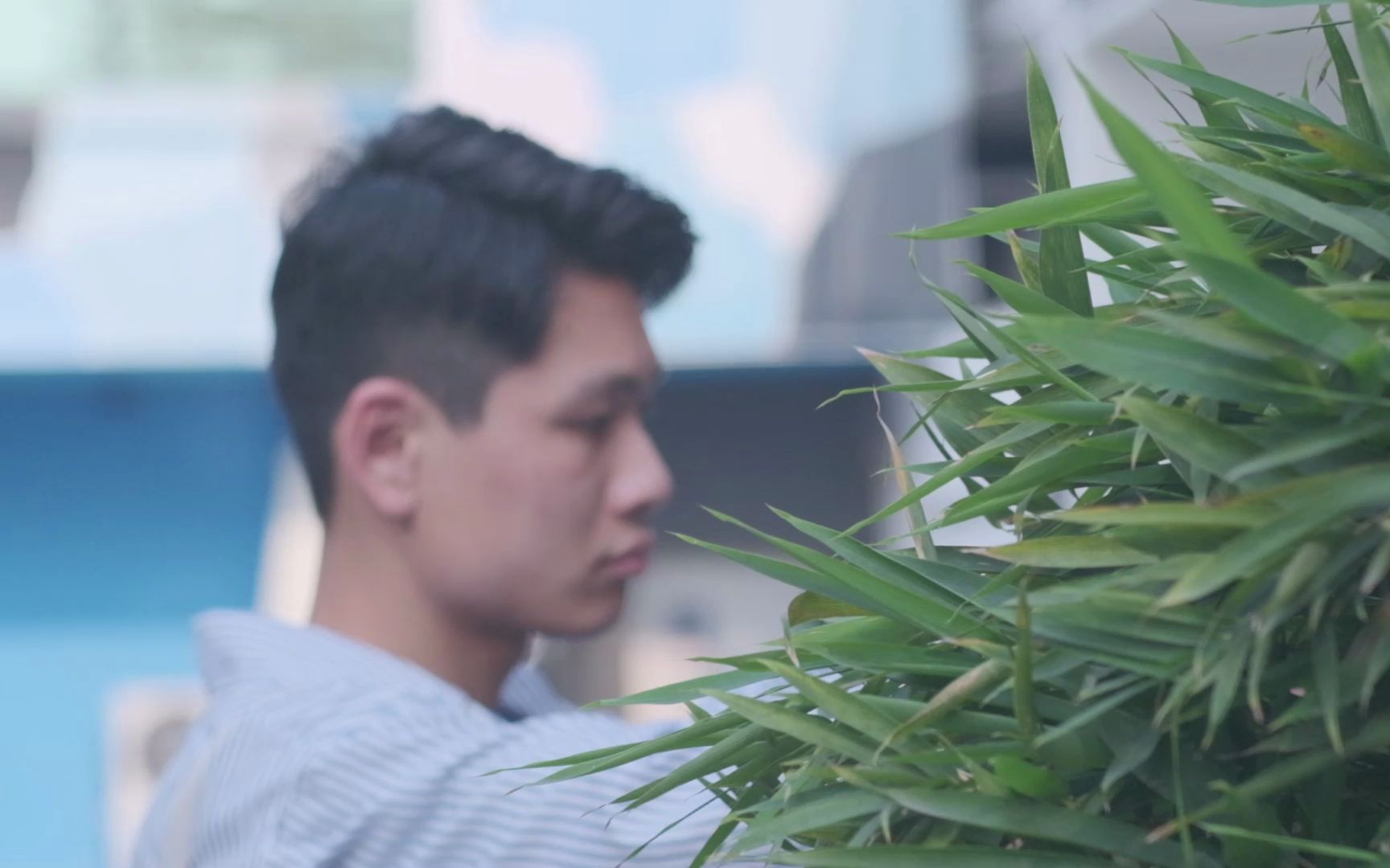 富士XT3升格随手拍,建议上个稳定器吧