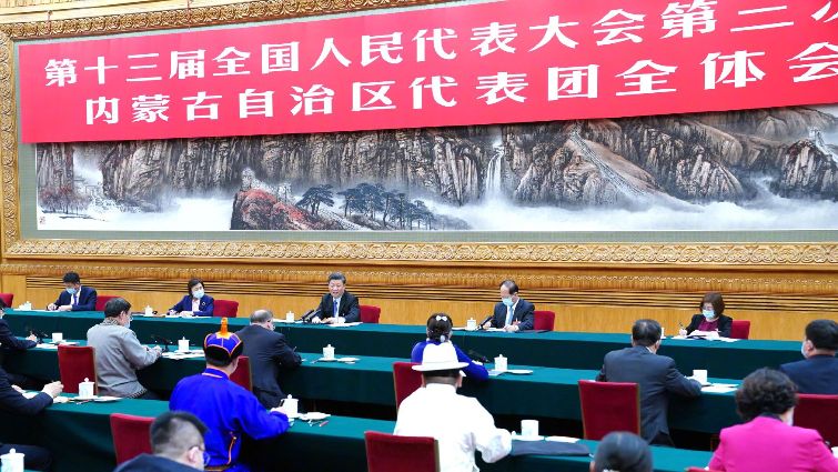 视频来了!习近平参加内蒙古代表团审议