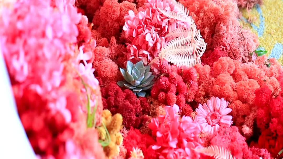 情人节最浪漫的示爱方式