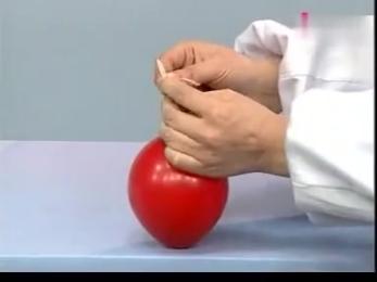 初中生物 实验:模拟鱼鳍在游泳中的作用