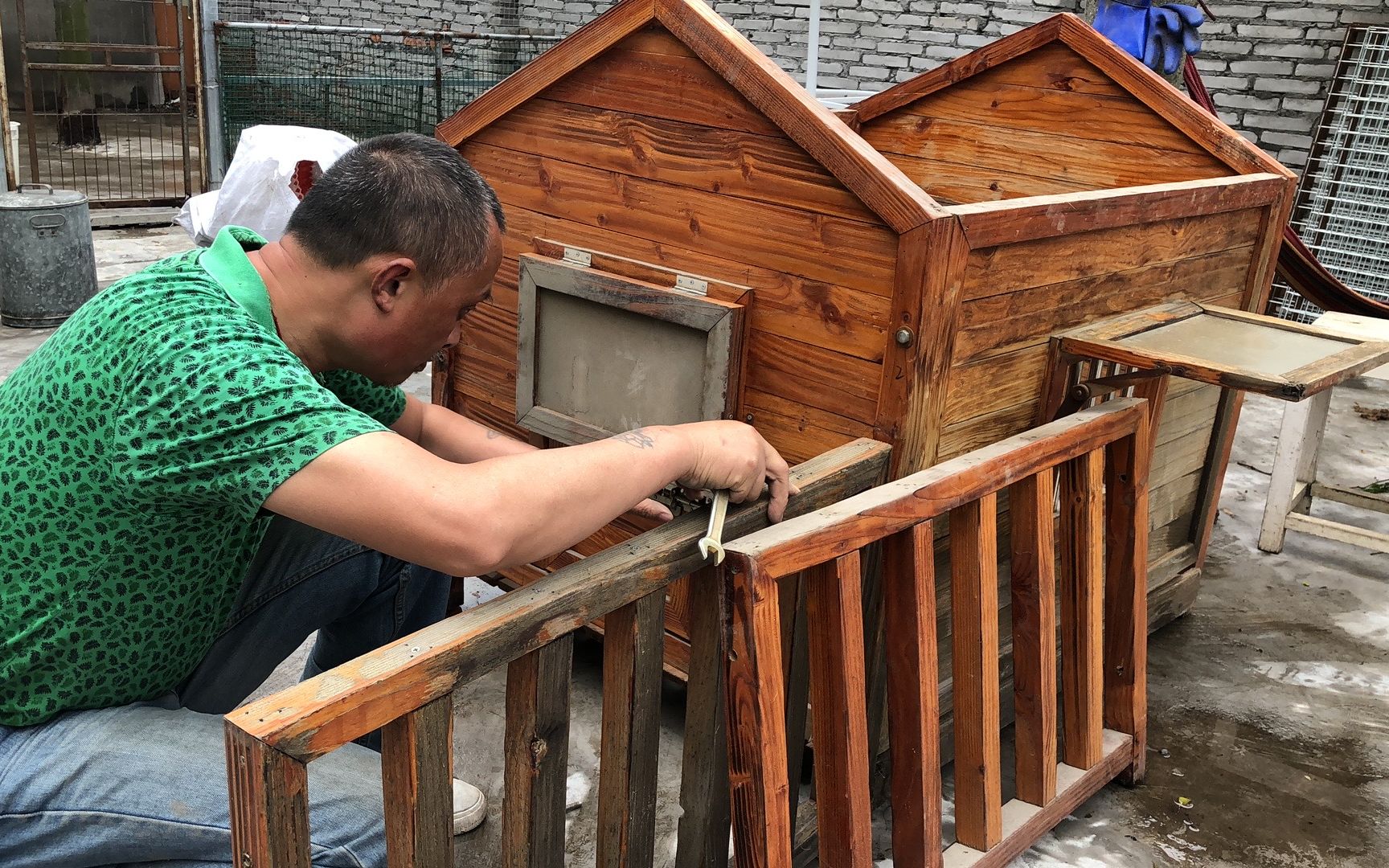 豪华别墅入驻救助站,俩残疾小朋友乐疯了~~救助的猫狗都在稳步恢复