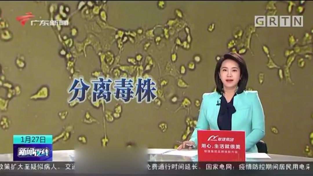 最新:广东首株新型冠状病毒毒株成功分离