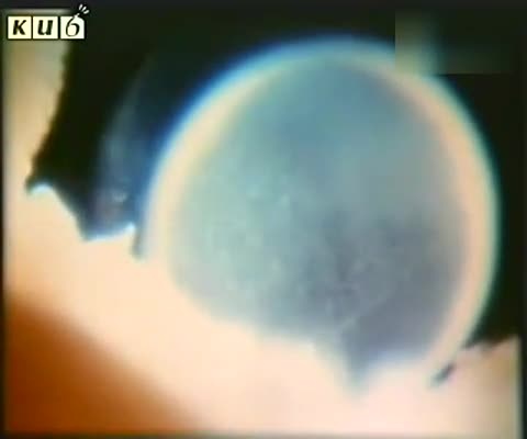 [ 生活 ] 绝对经典 婴儿出生过程