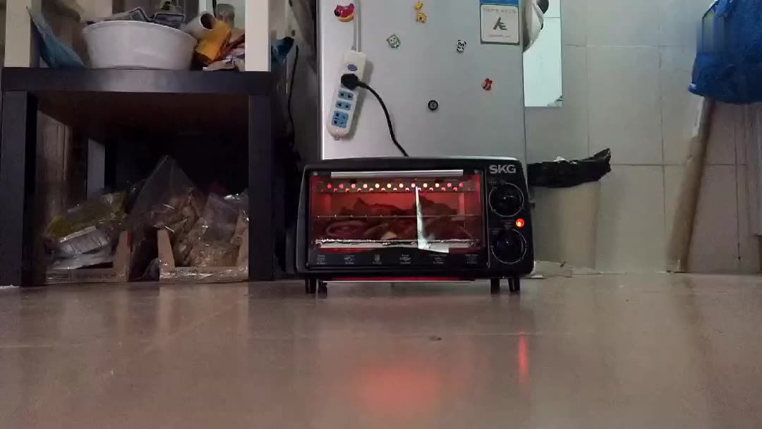 SKG烤箱 鸡翅,叉烧