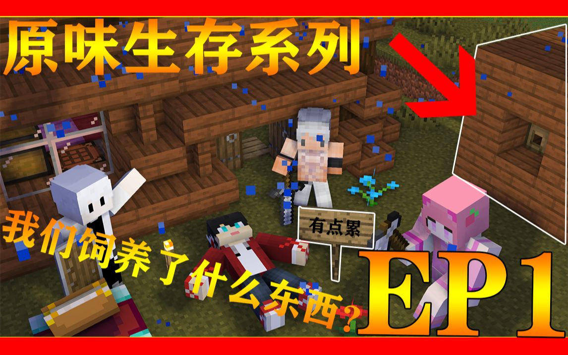 ...小木屋!非法饲养一只生物!收货了11颗钻石~【Minecraft我的世界】