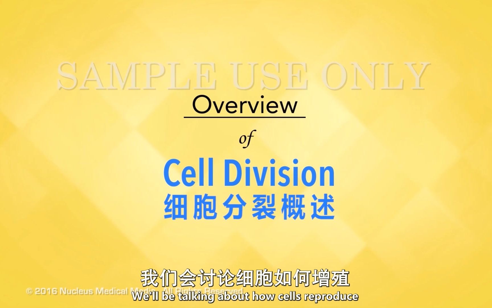 《生物自习室》第8期:细胞分裂概述