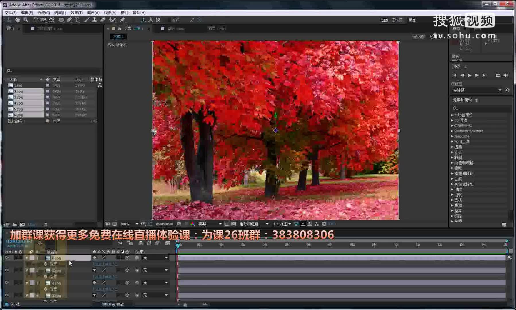 AE教程 AE教学视频教程 AE视频教程 AE视频特效 AE制作秋天的相册