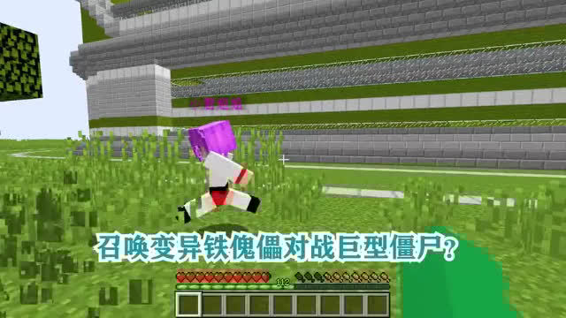 我的世界,召唤变异铁傀儡对战巨型僵尸?!