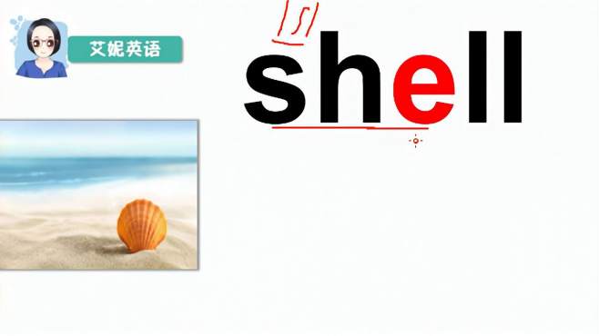 零基础英语必学课自然拼读:shell如何读和记忆呢?