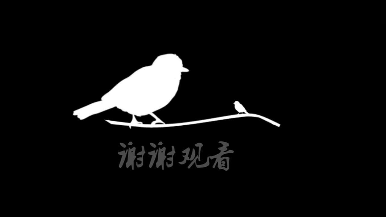 巧用word软件中的查找与替换里的通配符,查找文章内容很轻松!快来试试