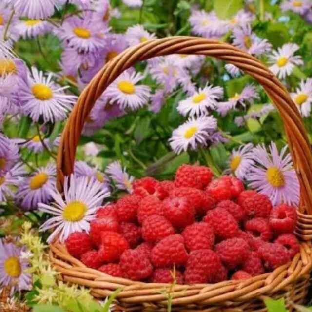 风雨人生165140043 