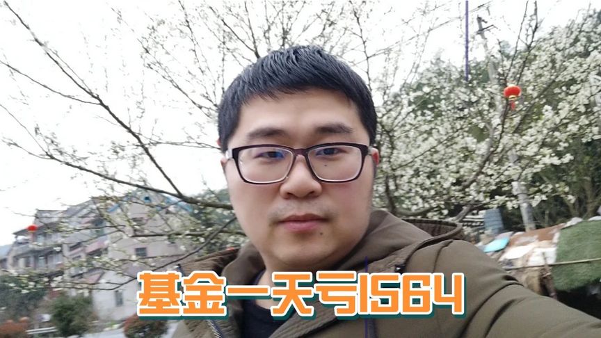 打工人3万买基金一天亏1500+ 心有点凉